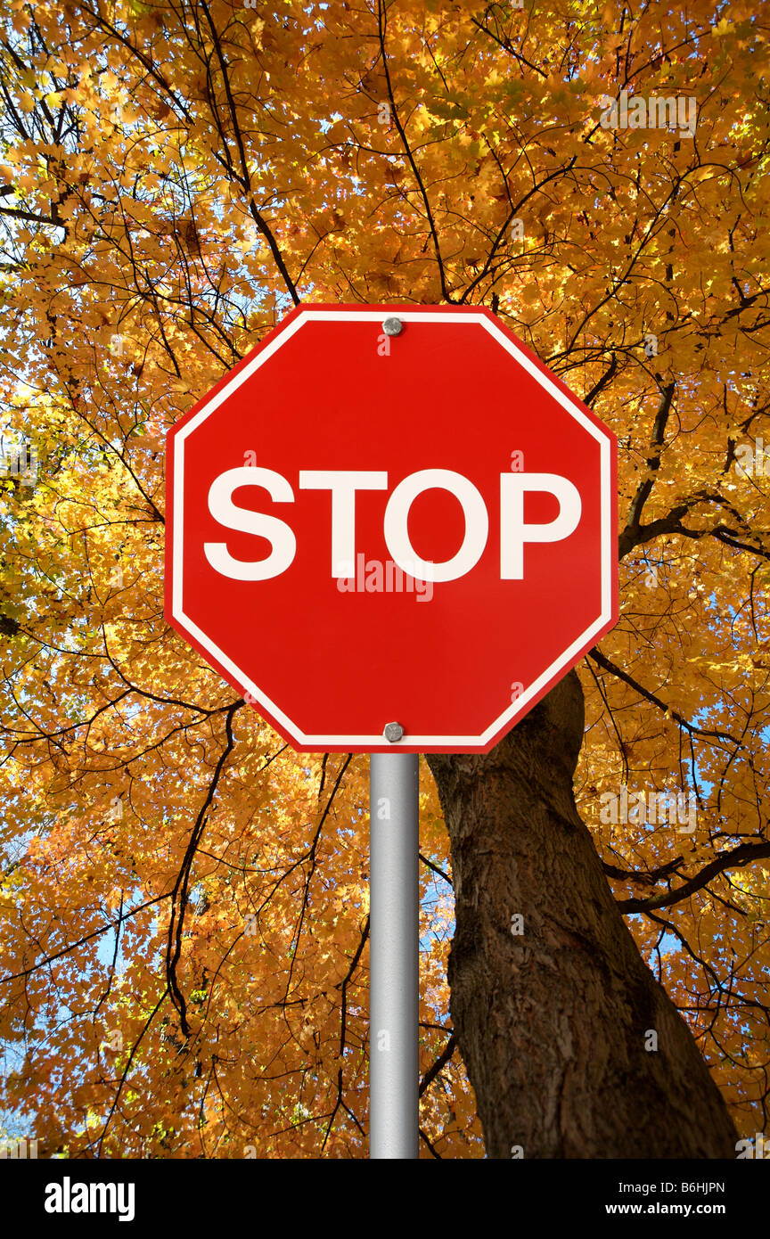 Stop sign on the way Cut Out Stock Images & Pictures - Alamy