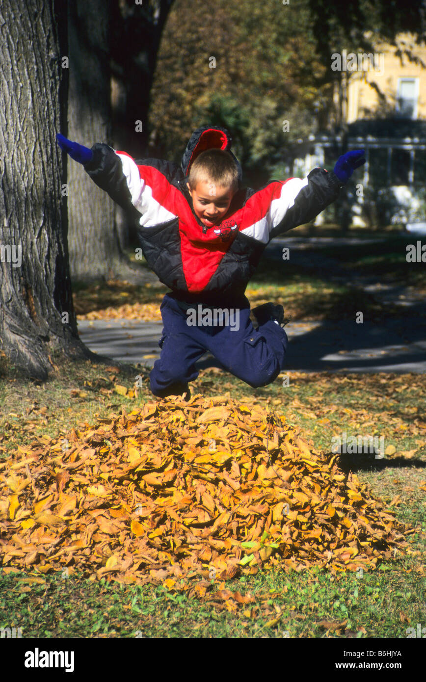 Pile of leaves jump hi-res stock photography and images - Alamy
