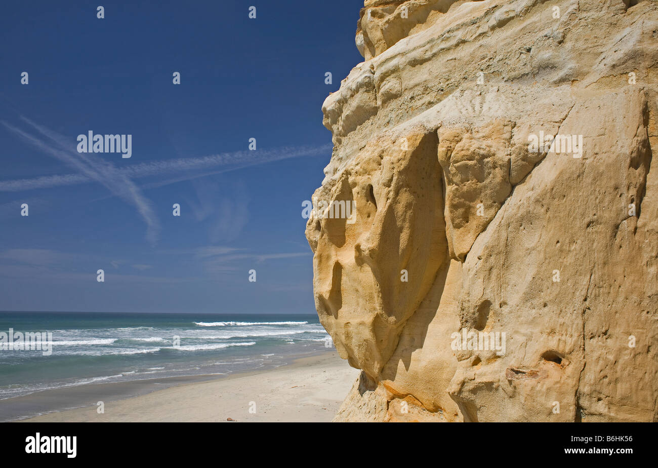 CALIFORNIA - Weathered and eroded sandstone at the edge of the Pacific ...