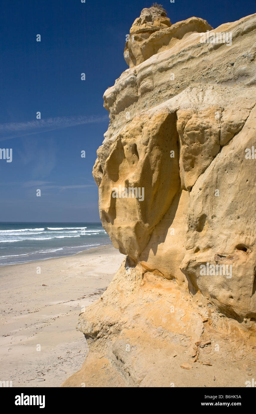 CALIFORNIA - Weathered and eroded sandstone bluff along the Pacific ...