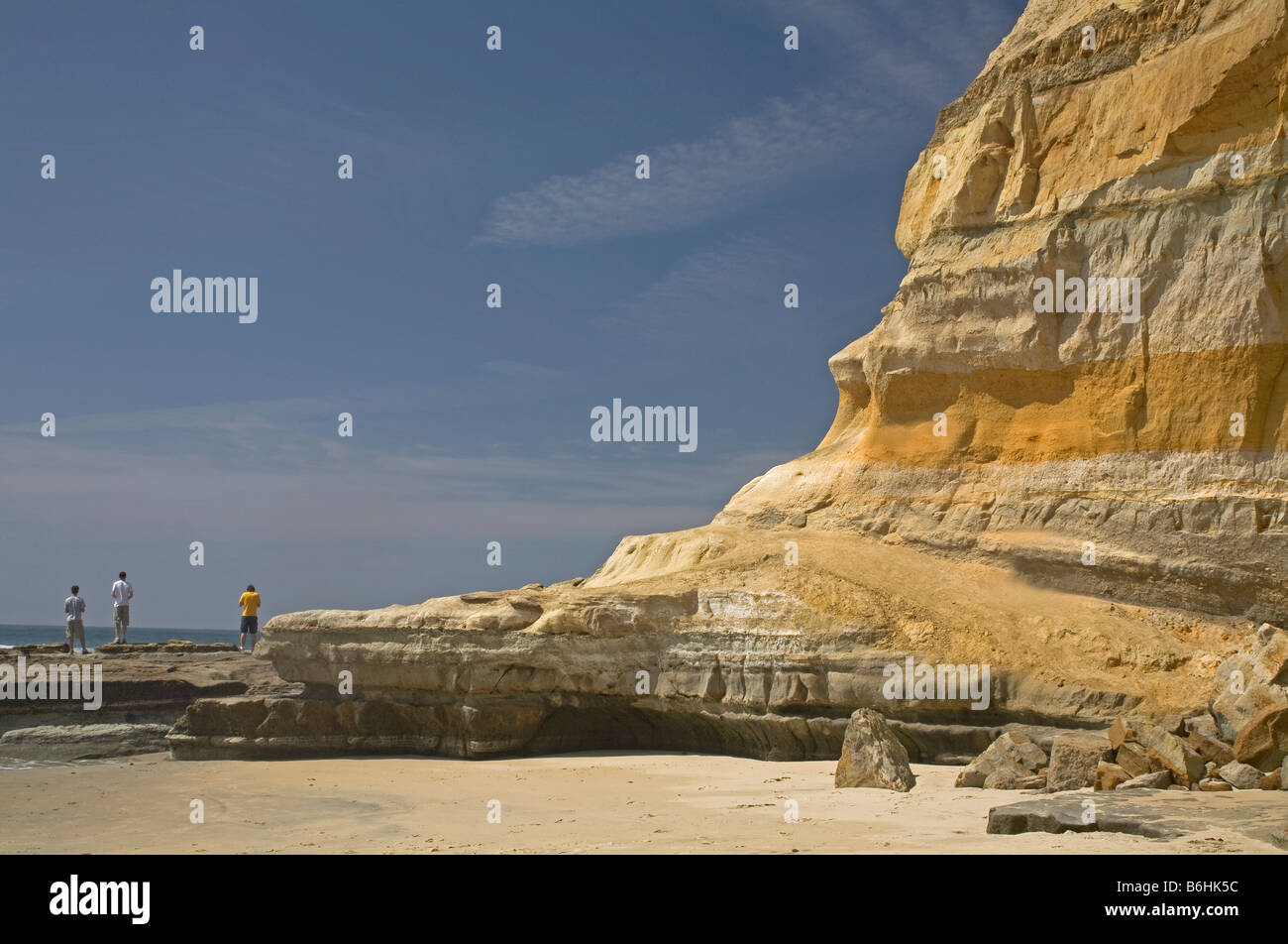 Torrey pines state beach hi-res stock photography and images - Alamy