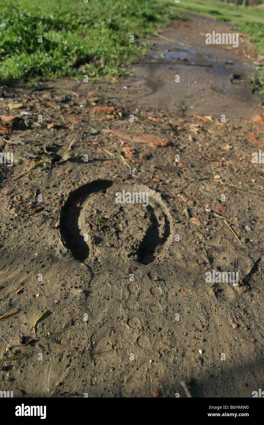 Horse tracks in dirt hi-res stock photography and images - Alamy