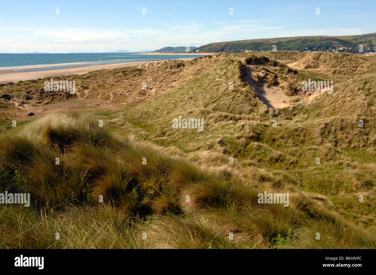 Ynyslas dunes National Nature Reserve Ceredigion Wales UK Europe Stock ...