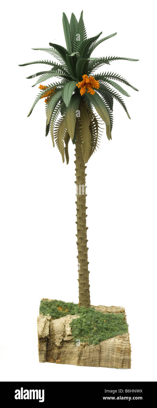 Nativity figures Palm tree Stock Photo - Alamy