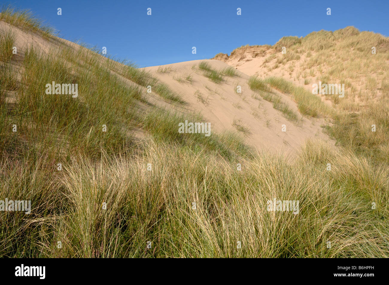 Ynyslas Dunes National Nature Reserve High Resolution Stock Photography ...
