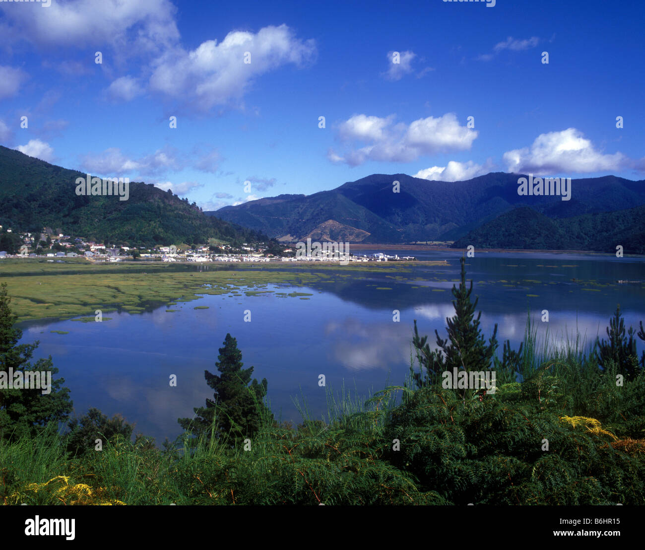 Pelorus sound new zealand hi-res stock photography and images - Alamy