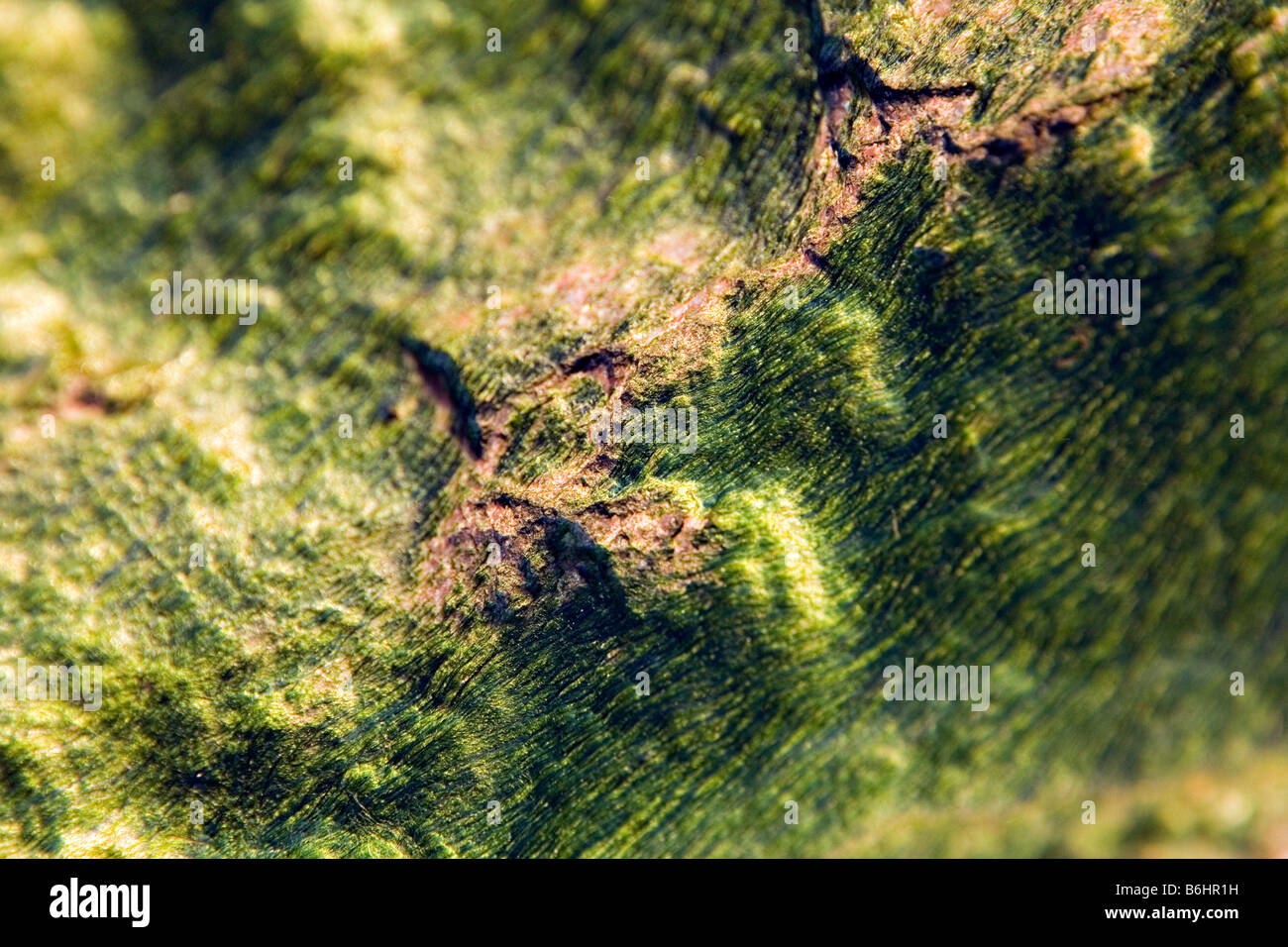 Shining rock surface on hi-res stock photography and images - Alamy