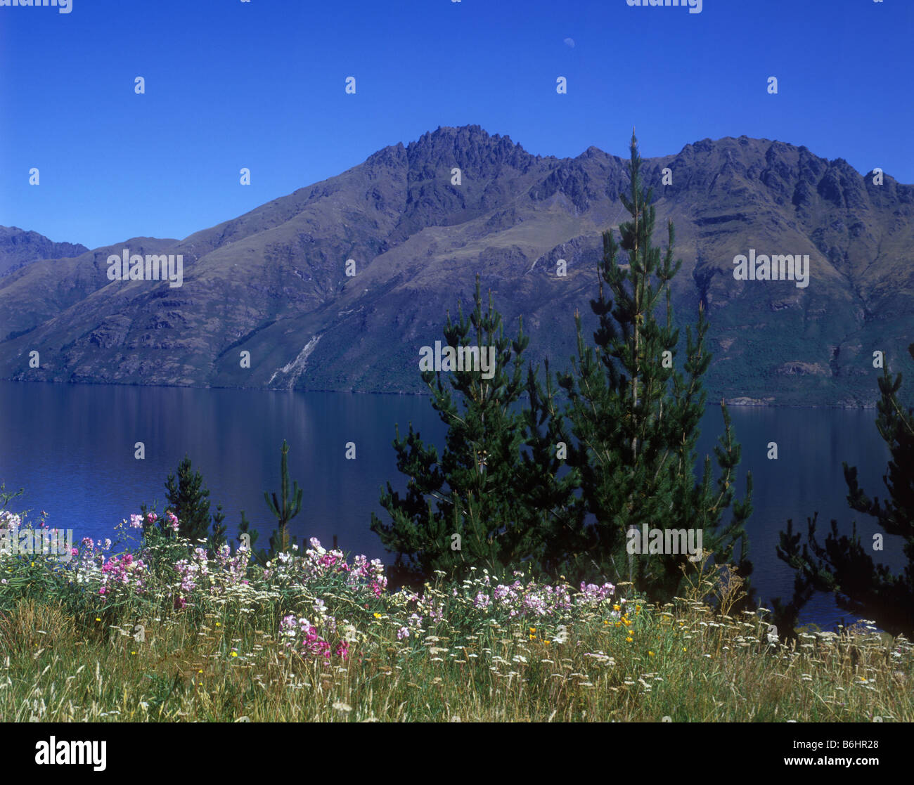 It is new zealands longest lake hi-res stock photography and images - Alamy
