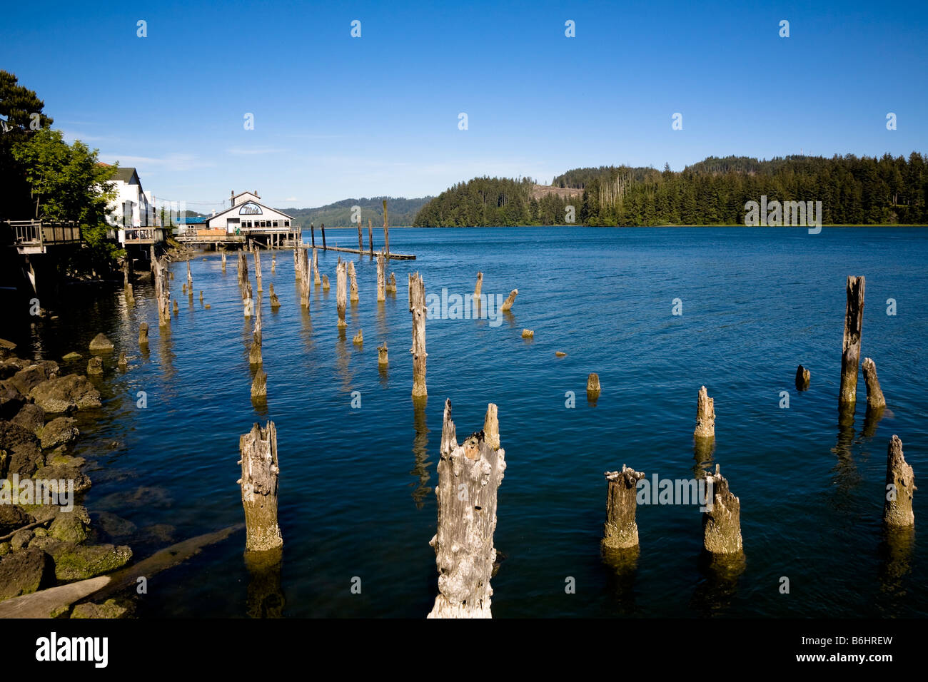 Old pilings on river hi-res stock photography and images - Alamy
