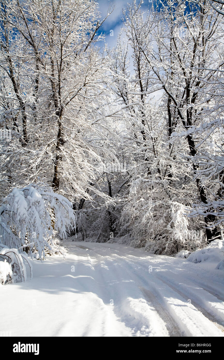 Snowy street scene Stock Photo - Alamy