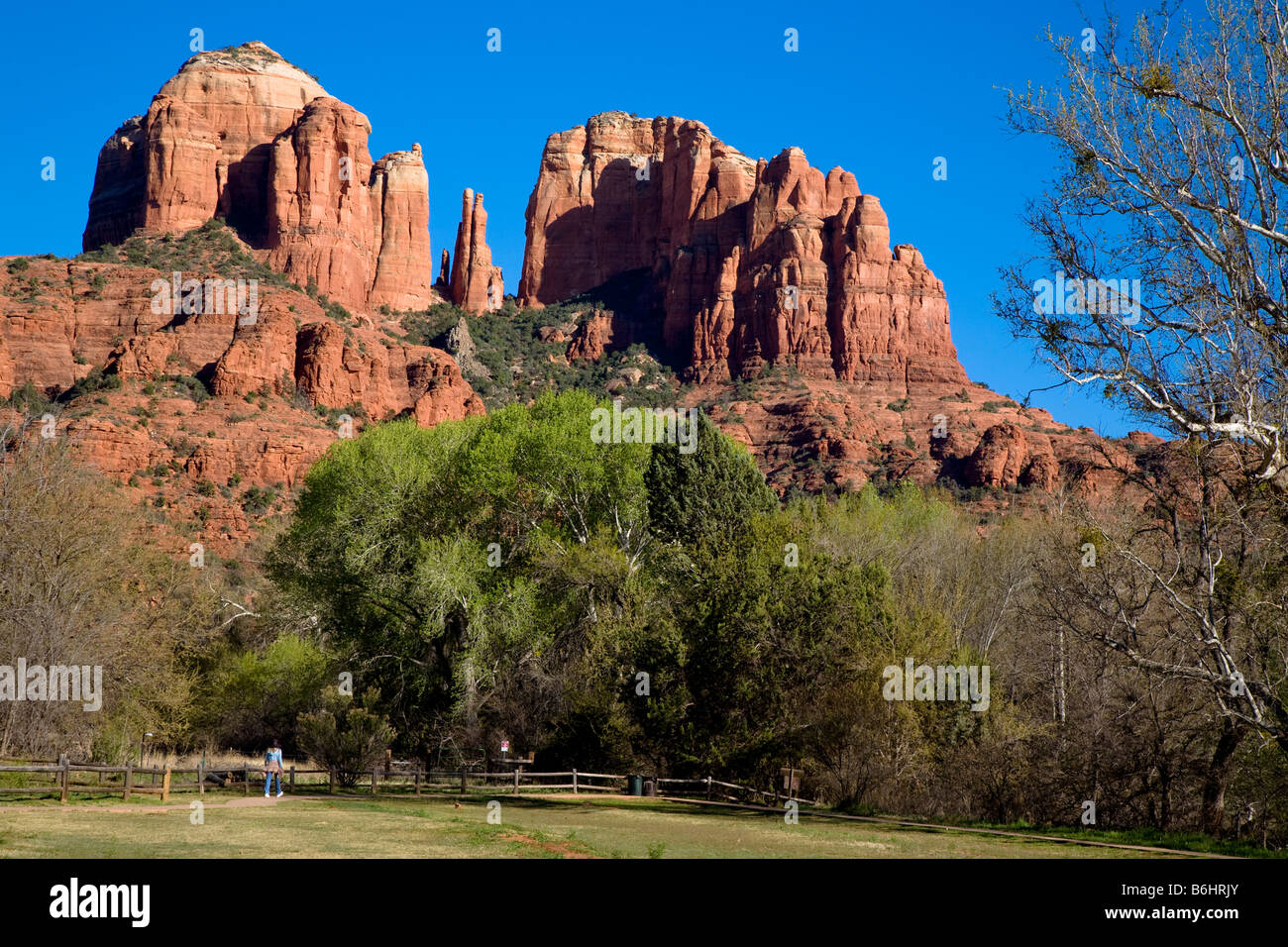 Oak Creek Canyon Red Rock State Park Sedona, Arizona, USA Stock Photo ...