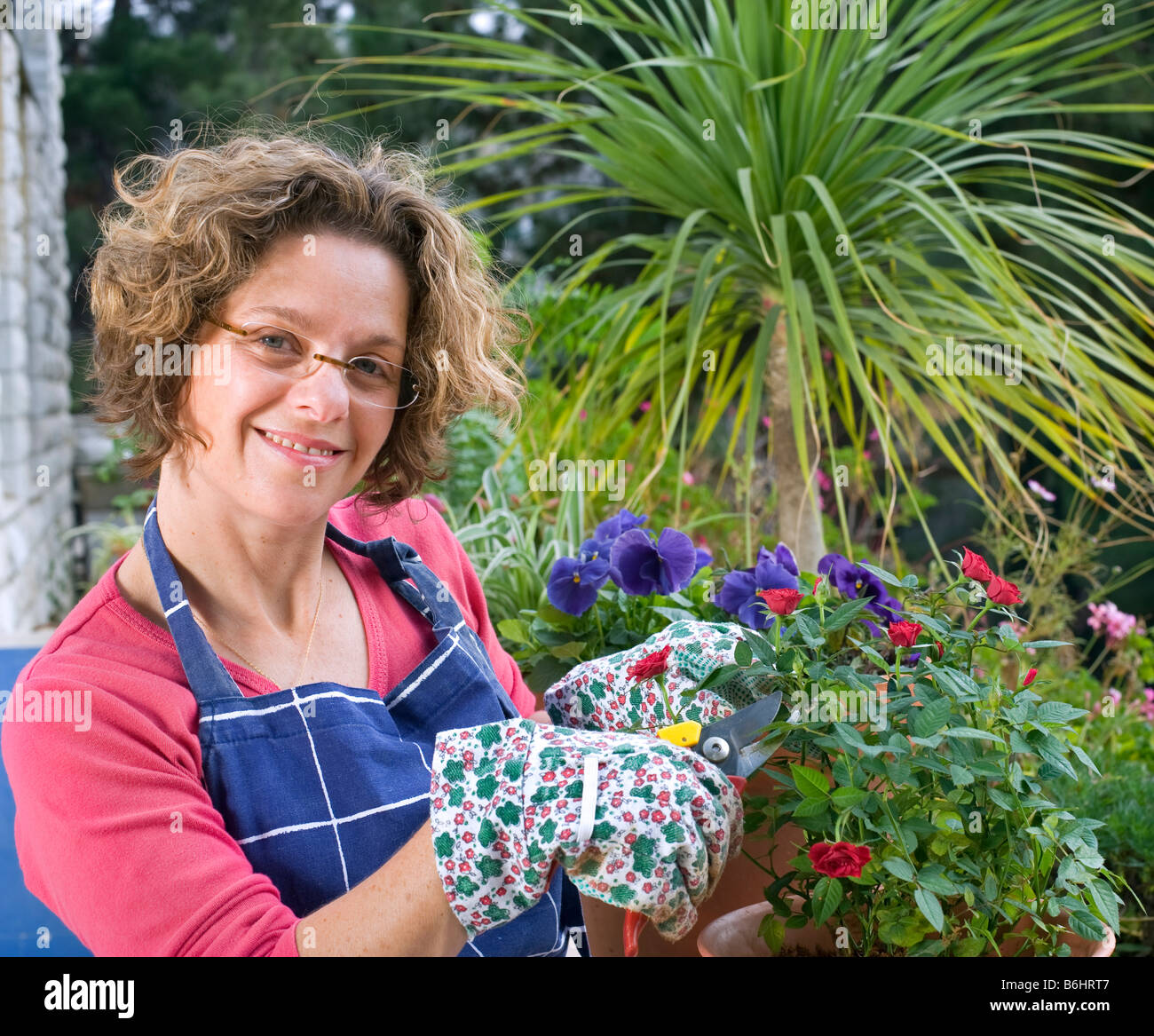 Mature Woman Garden Roses High Resolution Stock Photography and Images ...