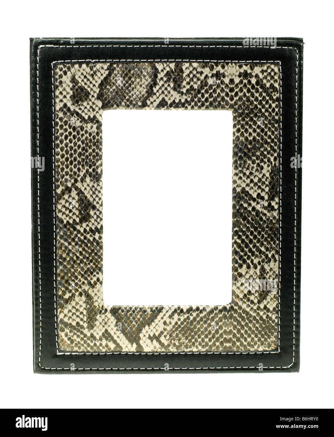 snake skin picture frame isolated on a white background Stock Photo - Alamy
