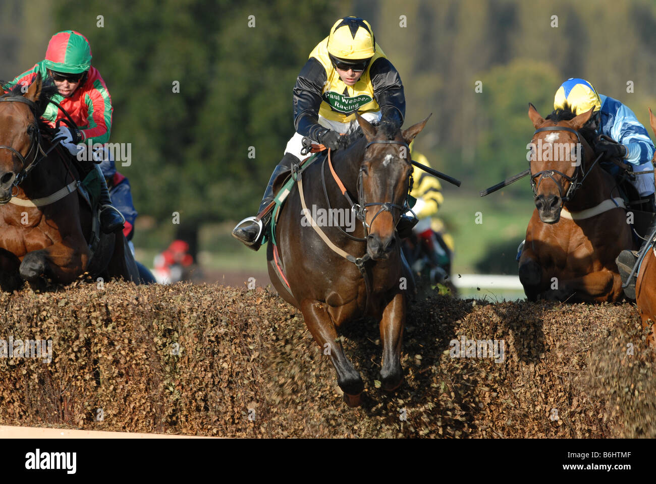 OPENING RACE OF THE SEASON TOWCESTER RACECOURSE NORTHANTS 8TH OCTOBER ...