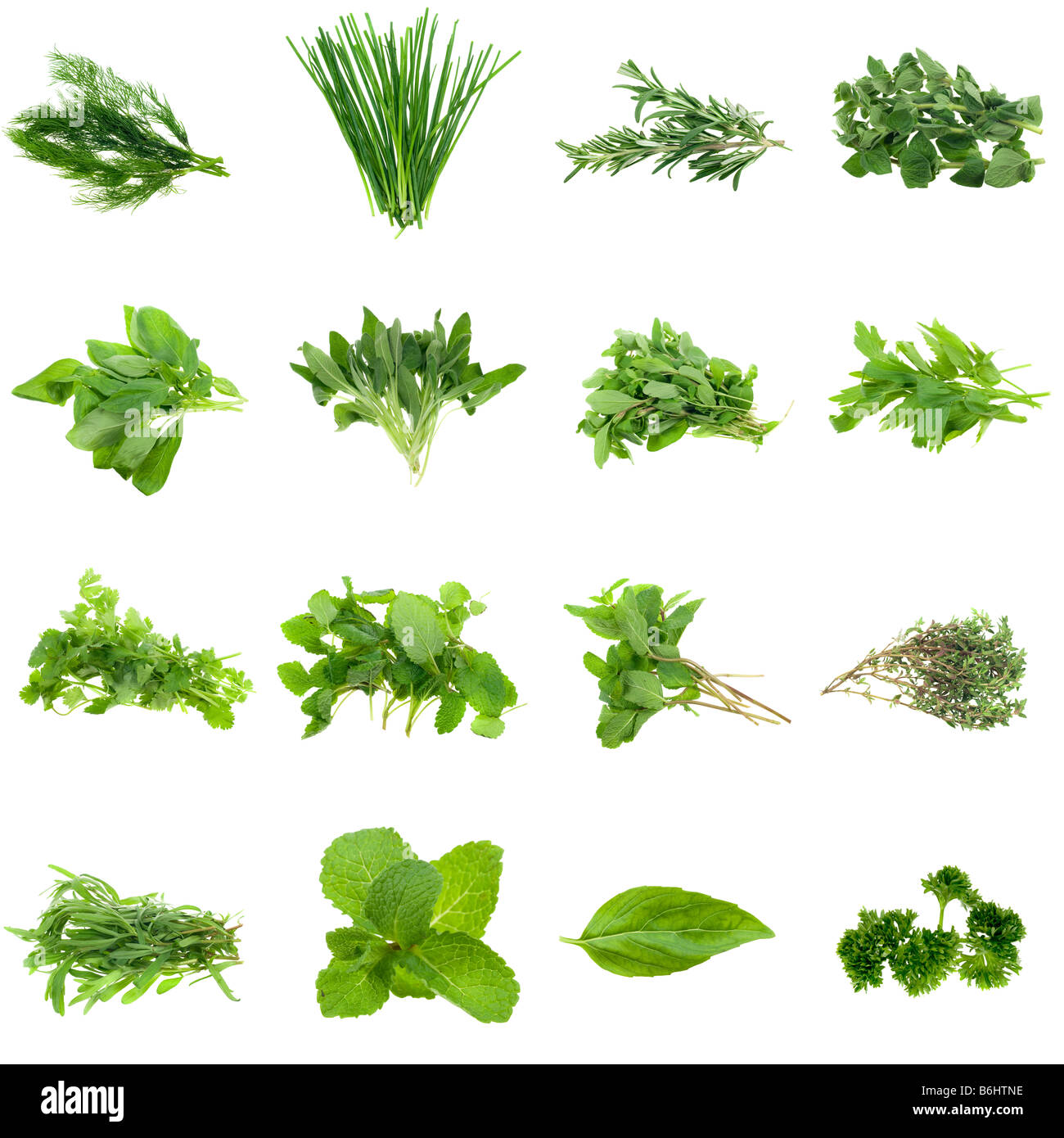 Collection of fresh herbs isolated on white XXL file Please see ...