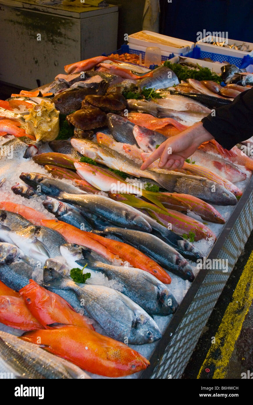 Stall selling fish at Shepherds Bush market in West London England UK ...