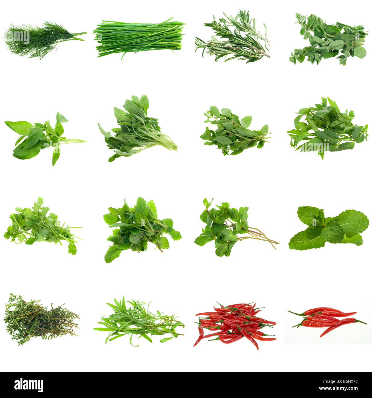 Various fresh herbs in Cut Out Stock Images & Pictures - Alamy