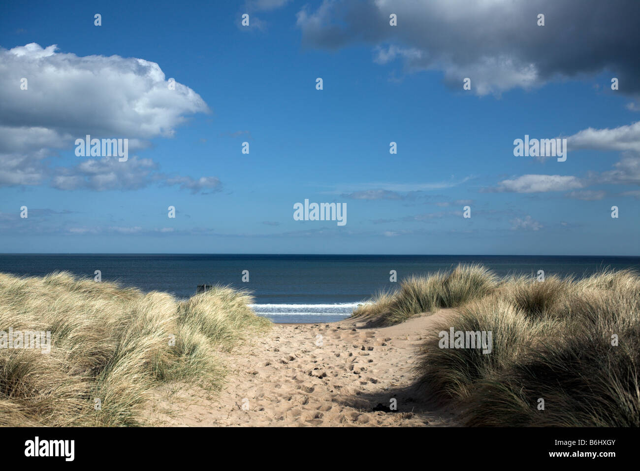 Path through sand dunes Stock Photo - Alamy