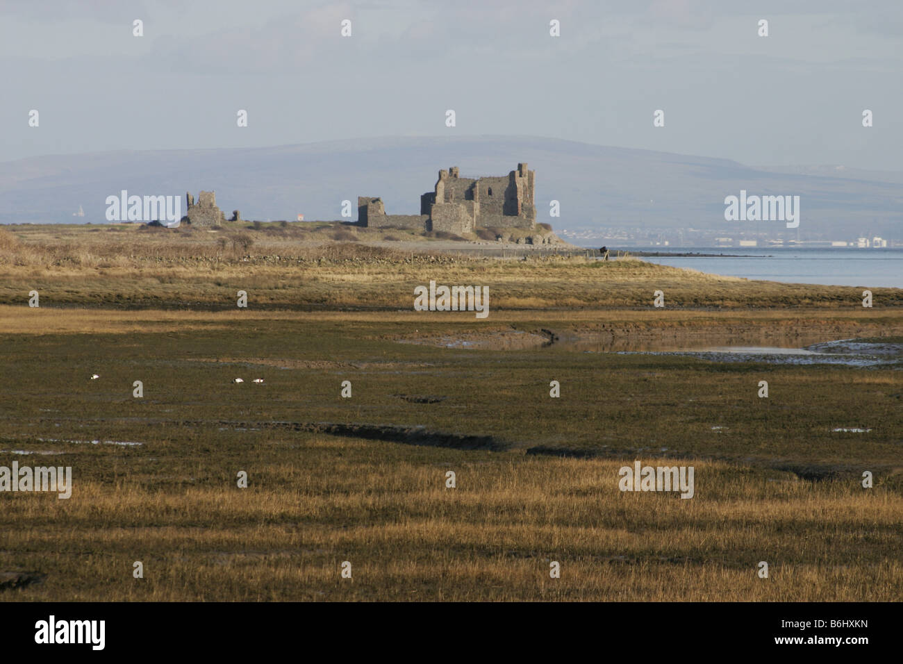 Piel Castle on Piel Island from the saltmarshes on Walney Island ...