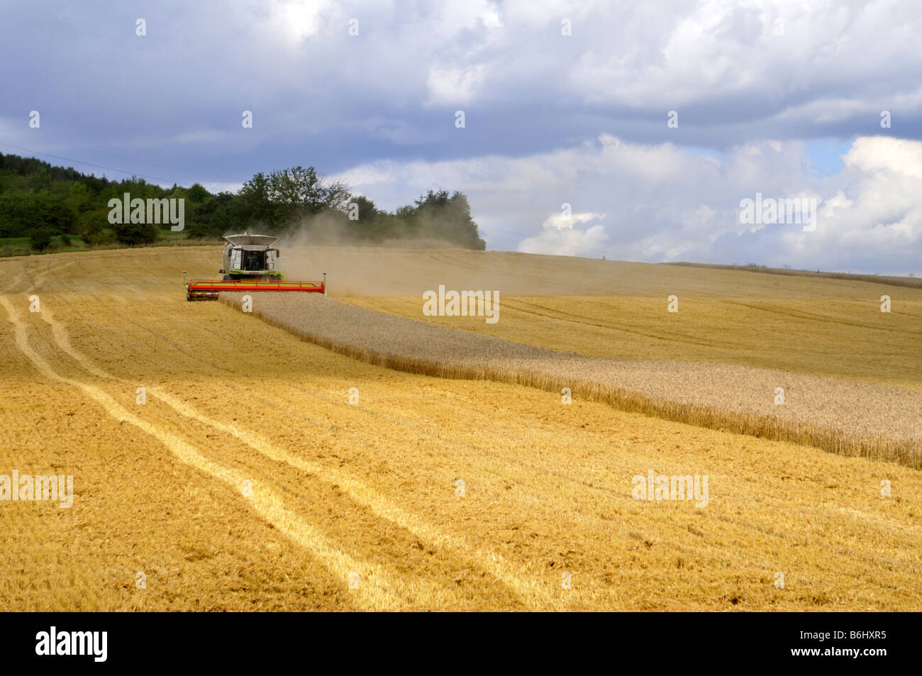 Harvesting in the Bohemian countryside, Czech Republic Stock Photo - Alamy
