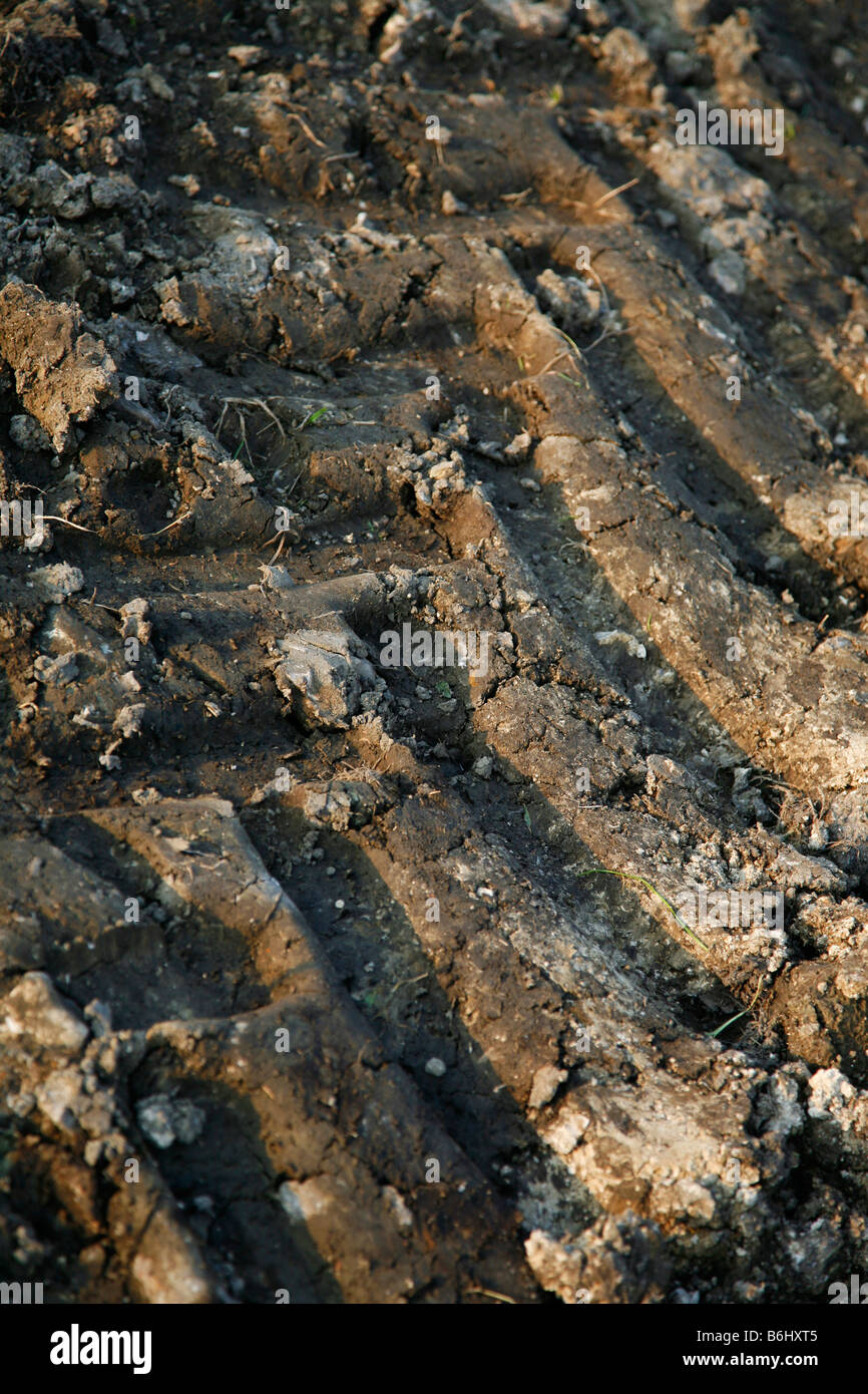 Tractor tyre tread marks in a muddy track on a Dorset farm Stock Photo ...