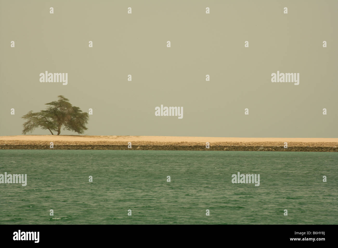 Scenic view of blue sea, waterfront and tree on horizon, Doha, Qatar ...