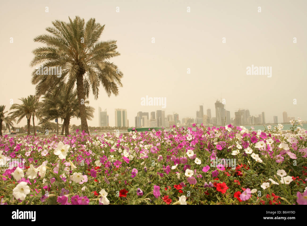 Corniche doha hi-res stock photography and images - Alamy