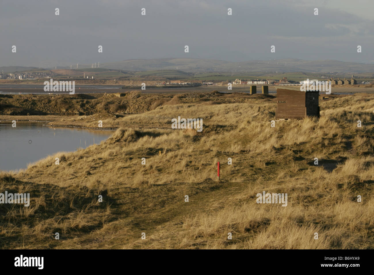 South Walney Nature Reserve Walney Island Cumbria with Piel Castle ...