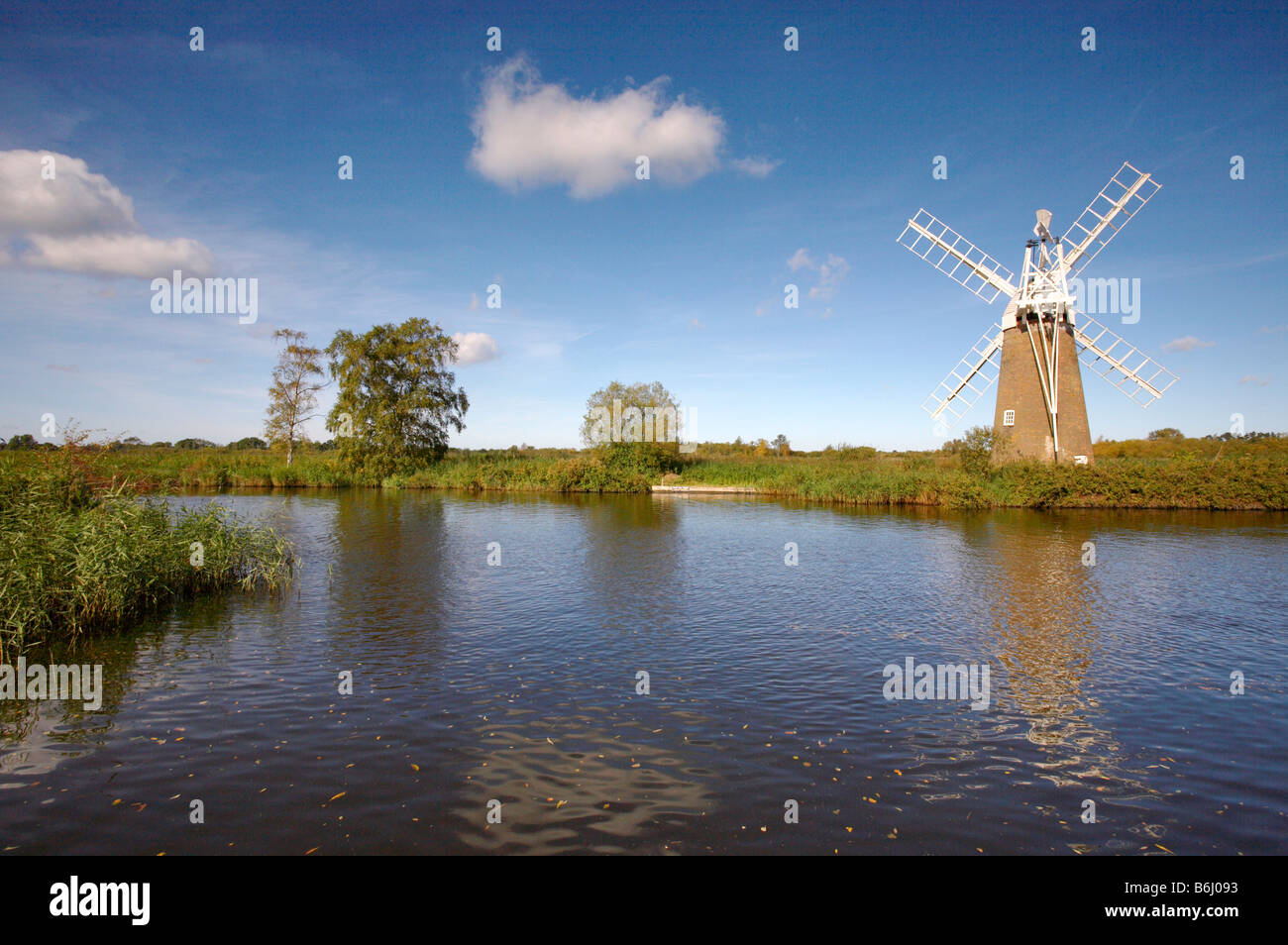 Great fen sedge hi-res stock photography and images - Alamy