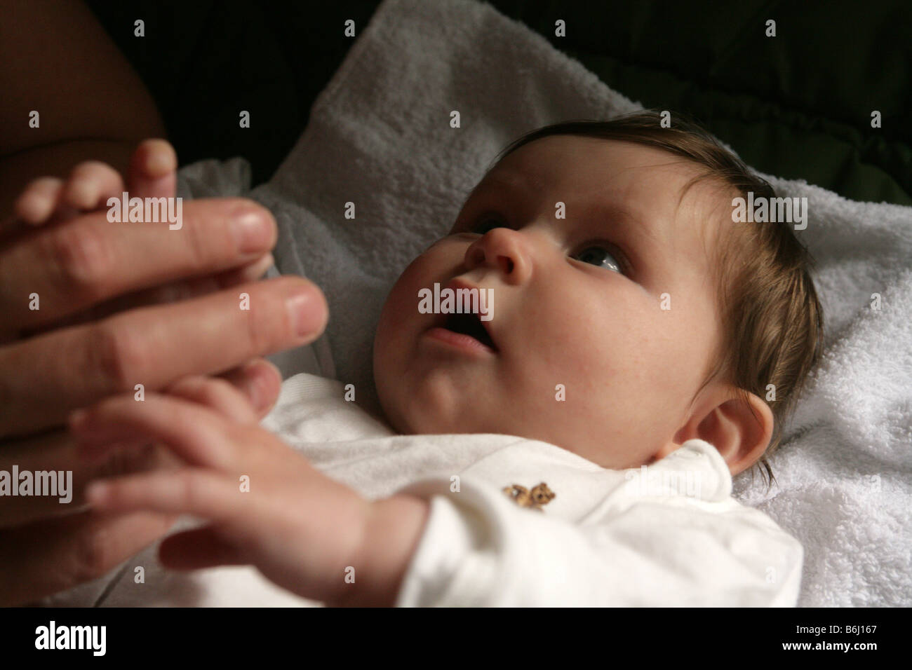 Baby holding adults finger hand hi-res stock photography and images - Alamy
