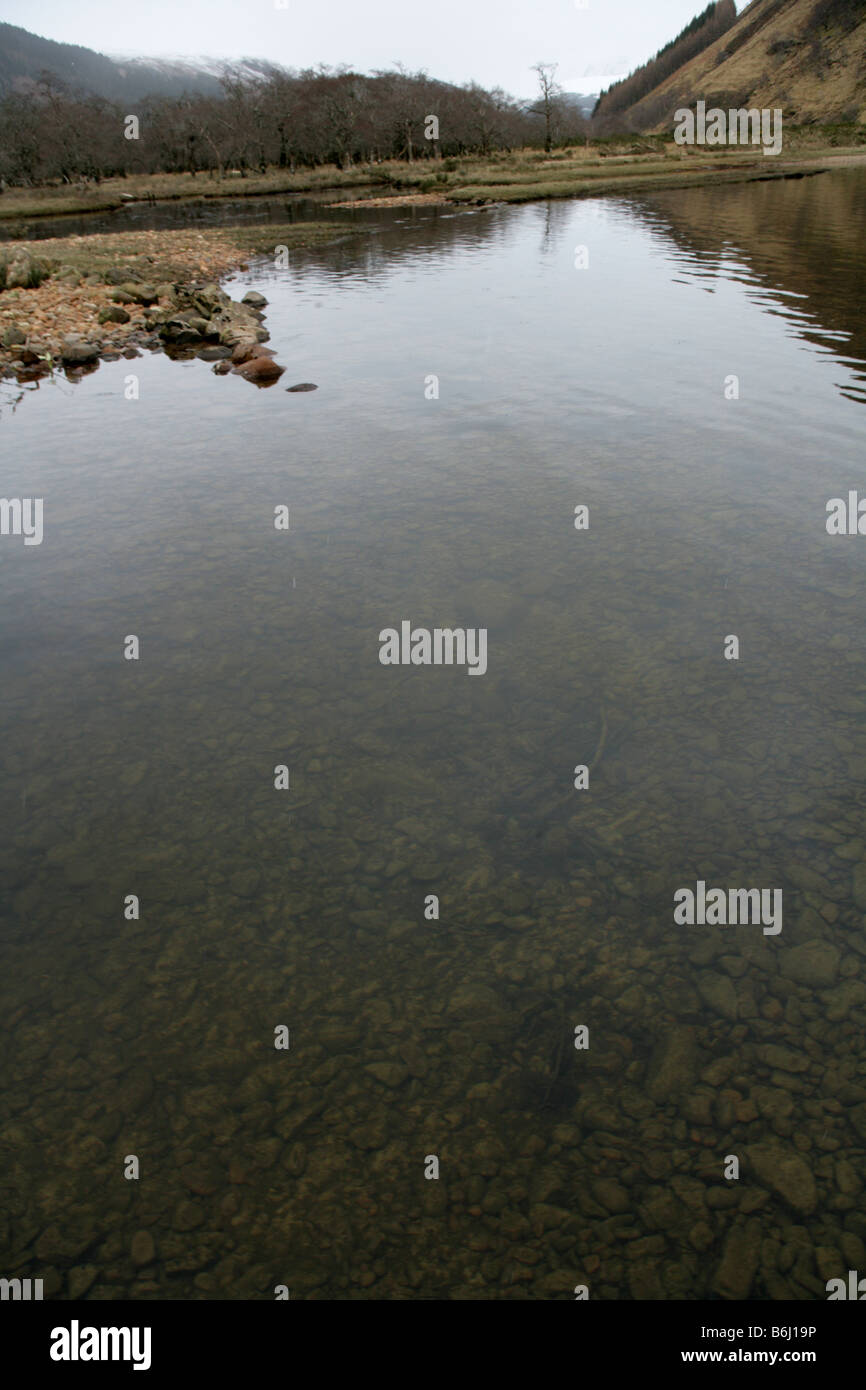 Loch Carron in Scotland Stock Photo - Alamy