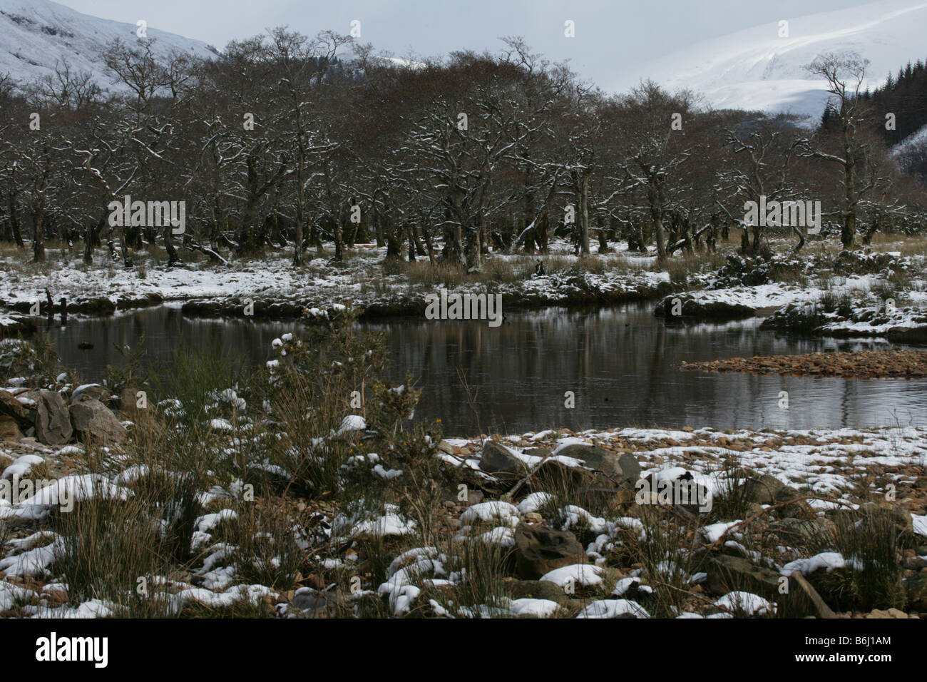 Winter scene in the Scottish Highlands Stock Photo - Alamy