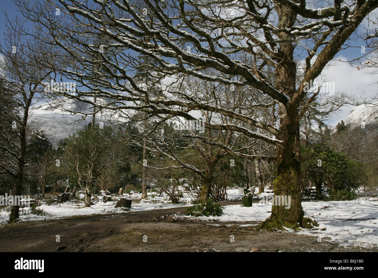 Winter scene in the Scottish Highlands Stock Photo - Alamy
