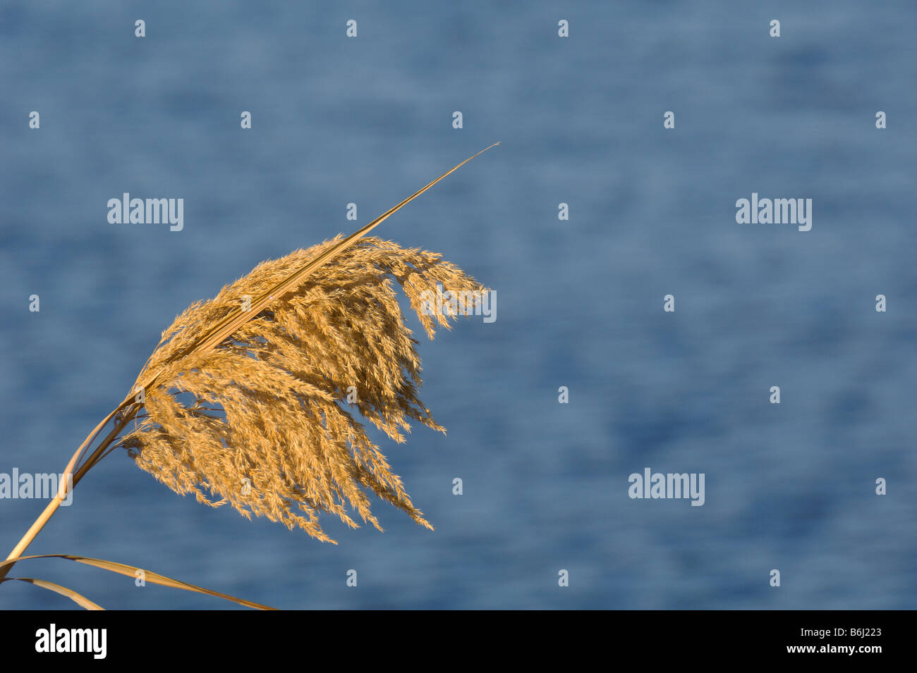 Thick texture hi-res stock photography and images - Alamy