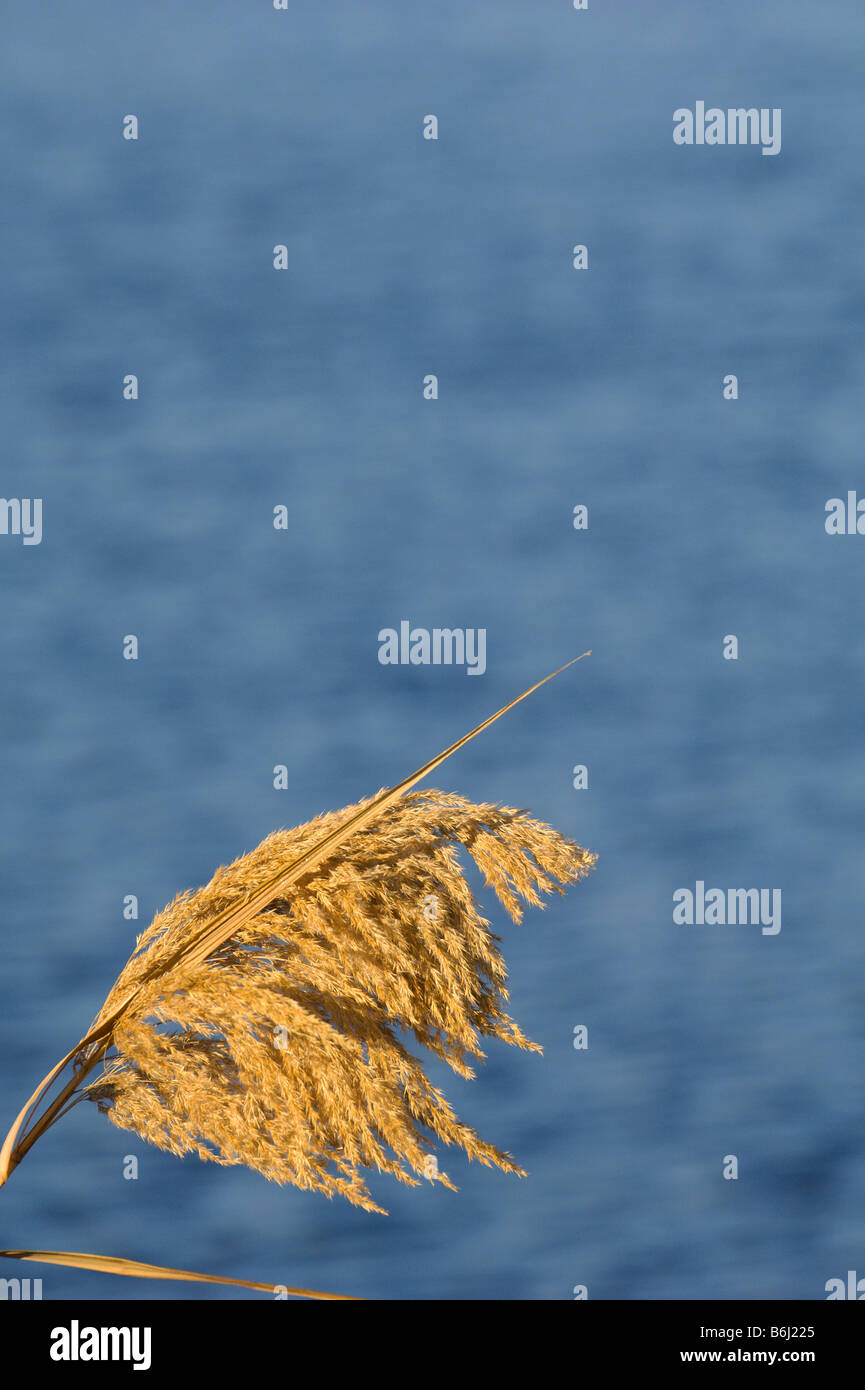 Thick texture hi-res stock photography and images - Alamy