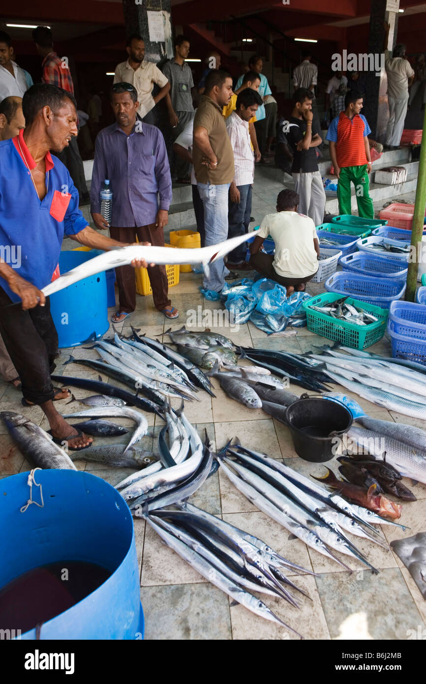 Fresh barracuda fish market hi-res stock photography and images - Alamy