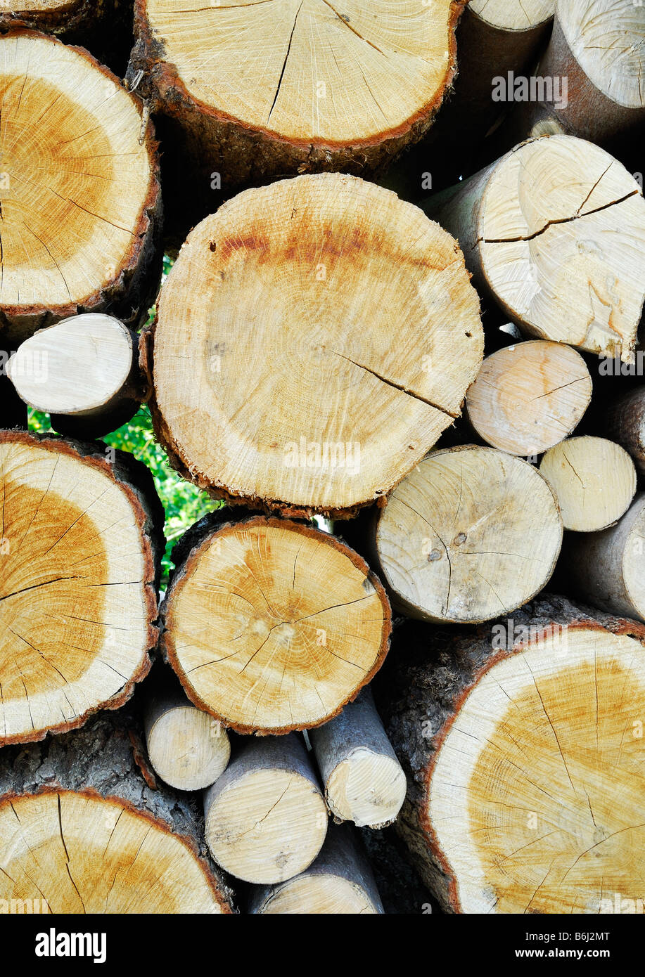 Stacked timber logs for the fireplace Stock Photo - Alamy