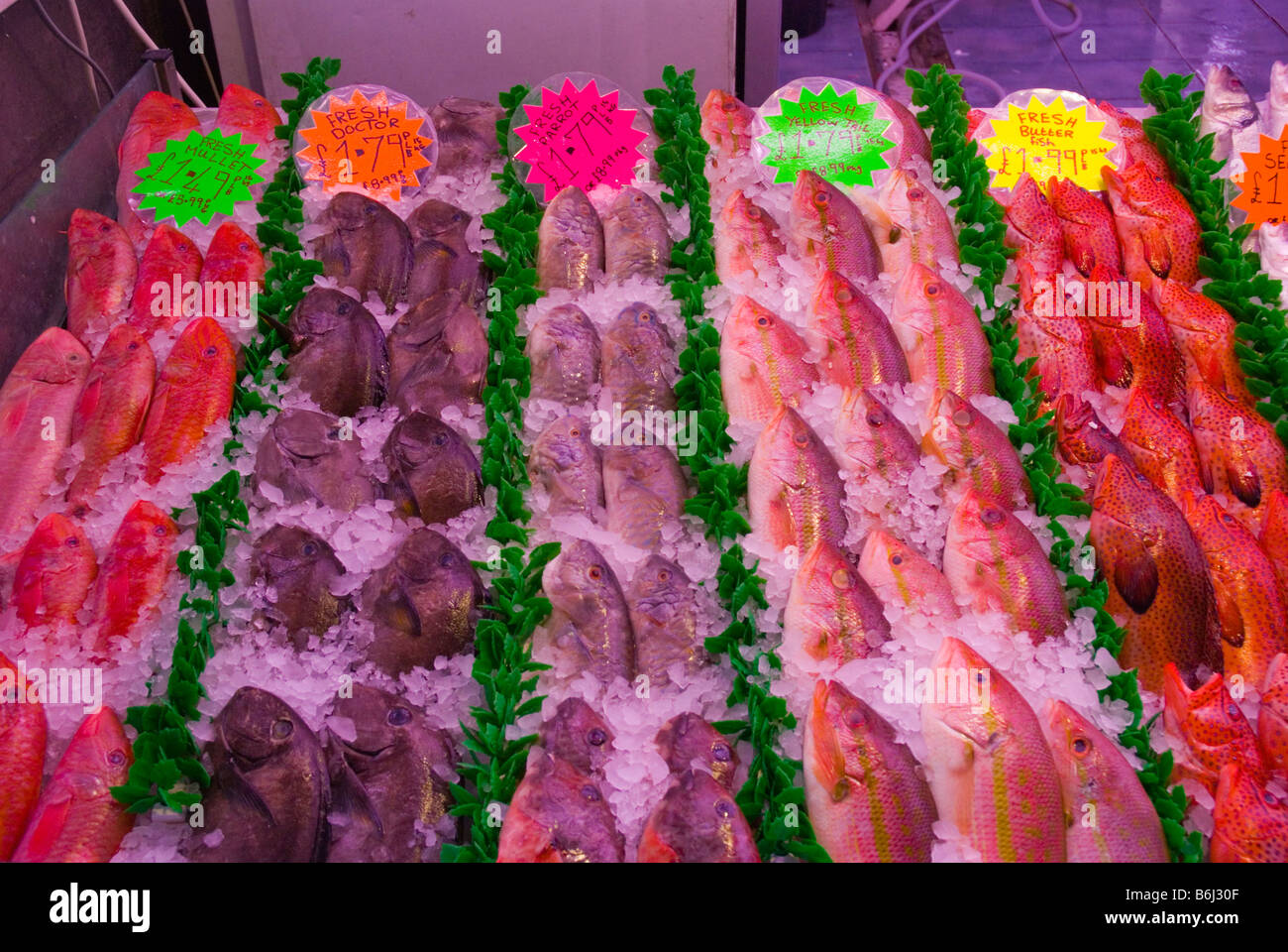 Yellow fish england hi-res stock photography and images - Alamy