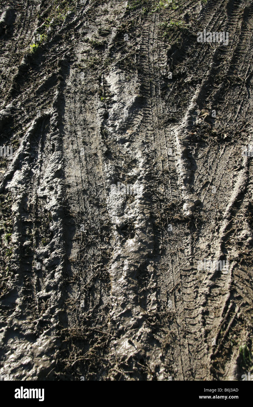 many tyre tracks crossing in mud in field in countryside Stock Photo ...
