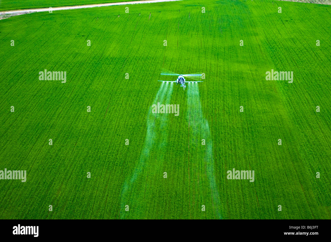 Flying low over field ripe hi-res stock photography and images - Alamy