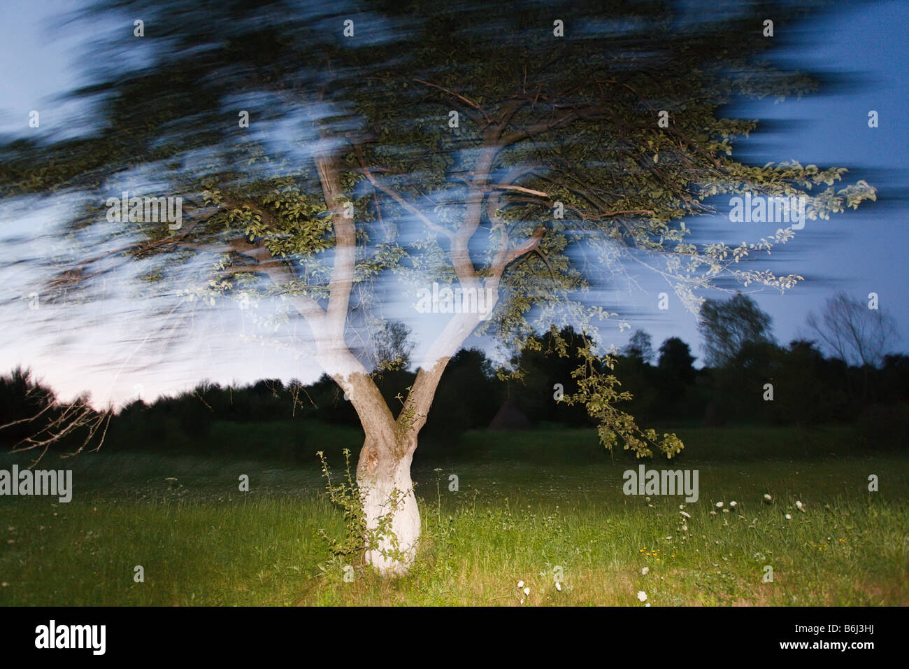 Making an exposure hi-res stock photography and images - Alamy
