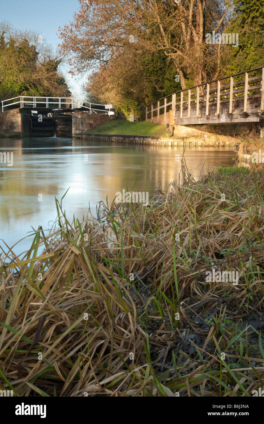 River Kennet and Kennet and Avon Canal at Bulls Lock Thatcham near ...