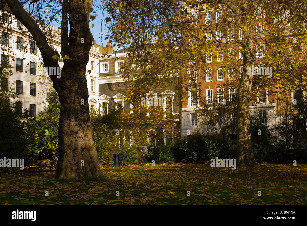 Park at St James Square in St James London England UK Stock Photo - Alamy