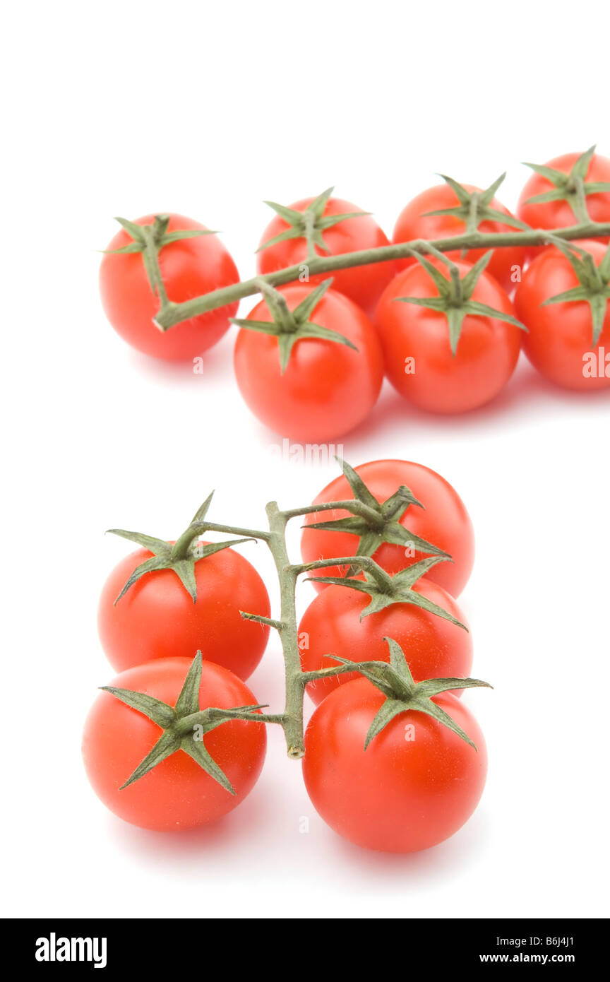 Macro tomato plant hi-res stock photography and images - Alamy