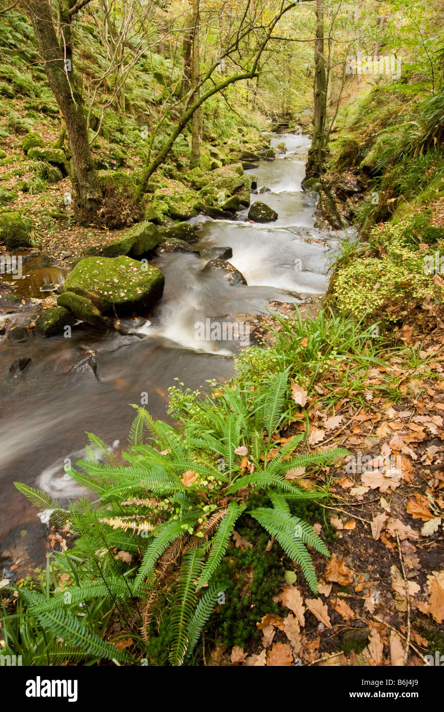 Padley Gorge & Burbage Brook Stock Photo - Alamy