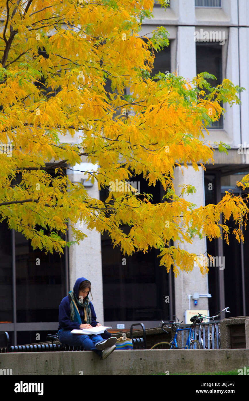 Students studying under tree hi-res stock photography and images - Alamy