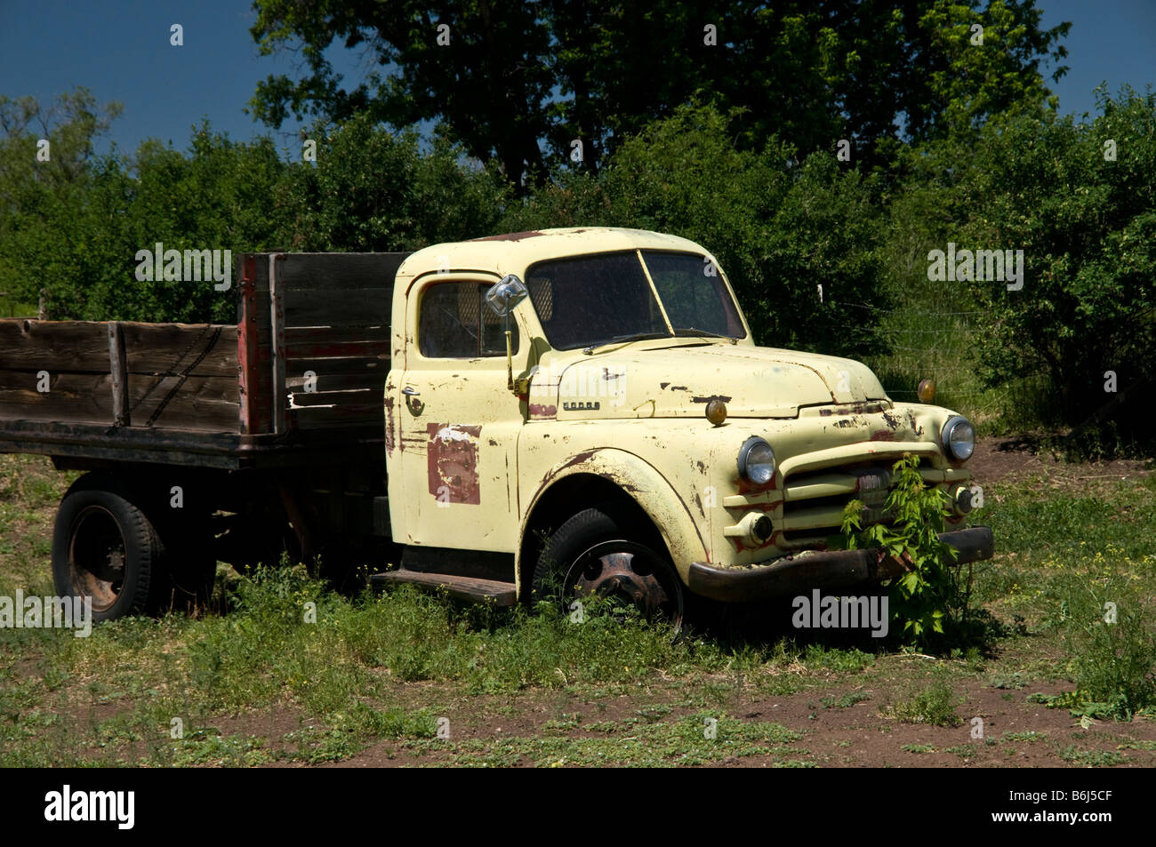 Dodge pick up truck hi-res stock photography and images - Alamy