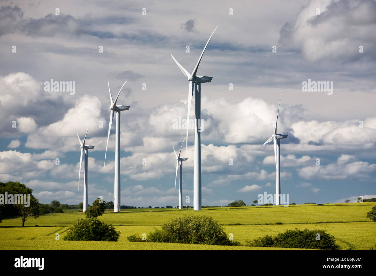 Wind Farm in Sedgefield County Durham England Stock Photo - Alamy