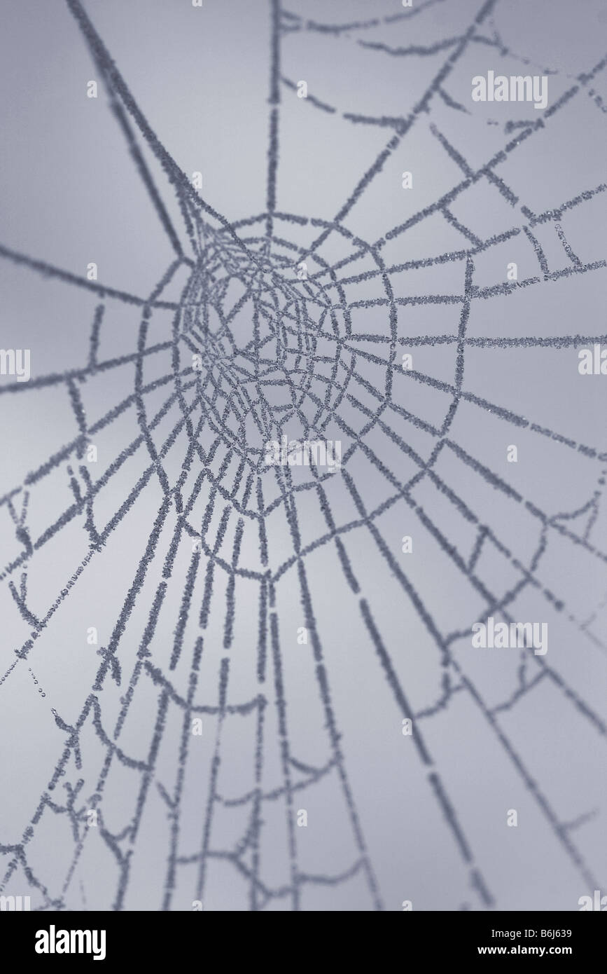 Frozen spiders webs hi-res stock photography and images - Alamy