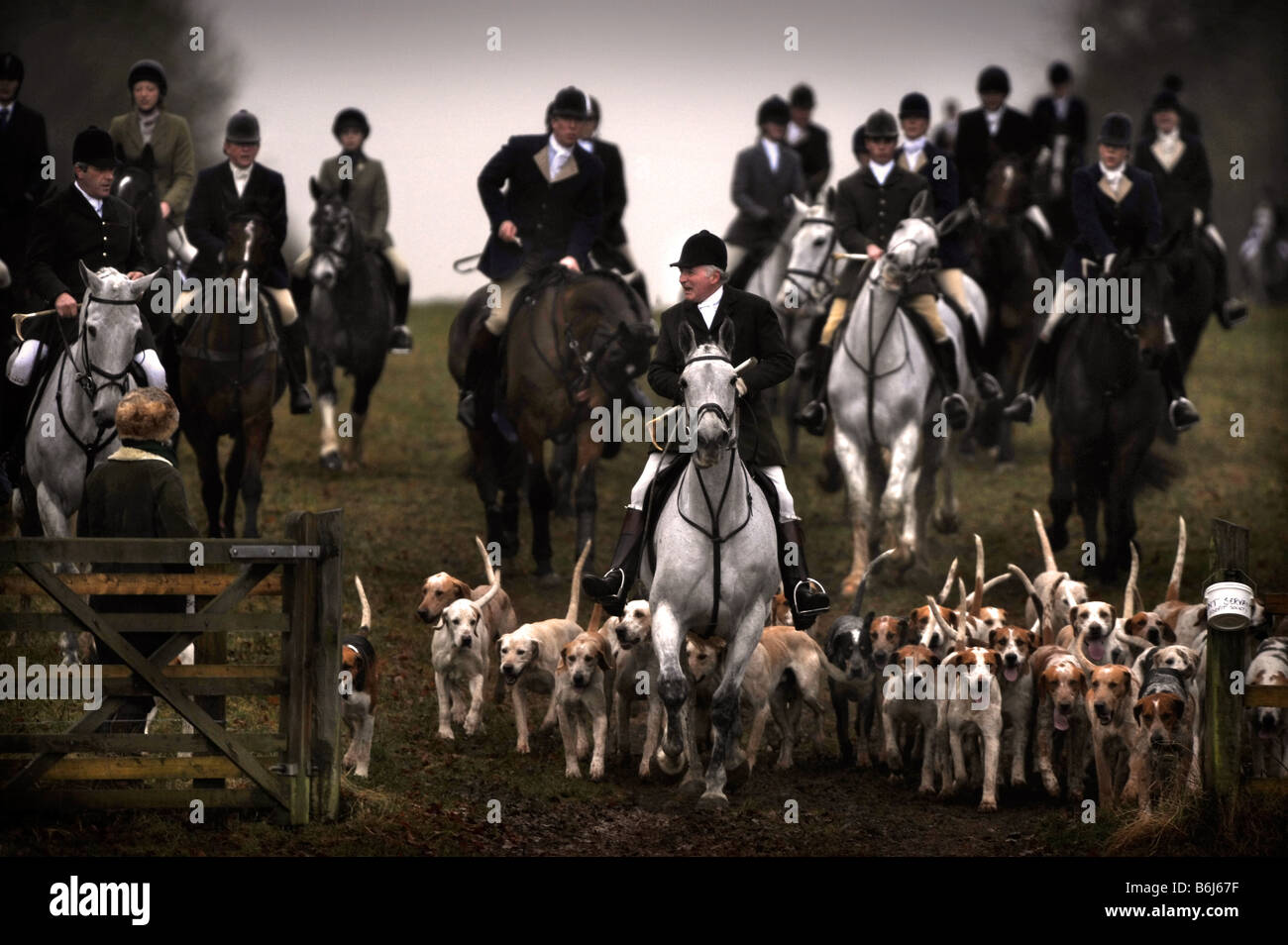 Fox hunt chase hi-res stock photography and images - Alamy